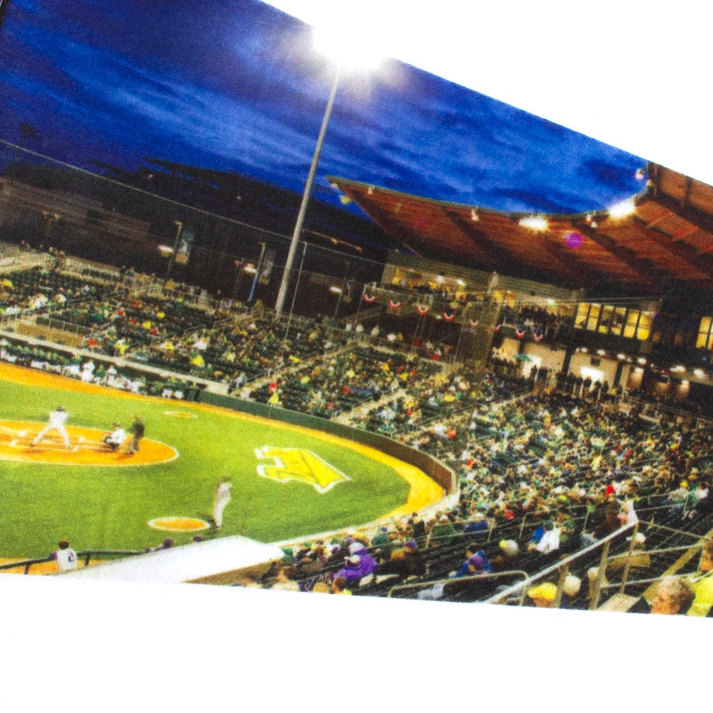 Green Neil 9"x24" Felt Picture of PK Park Stadium & Stadium Logo of PK ...