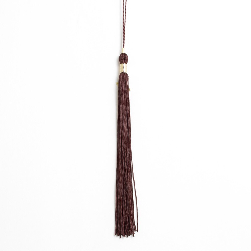 Josten's Student Bachelors Masters Tassel