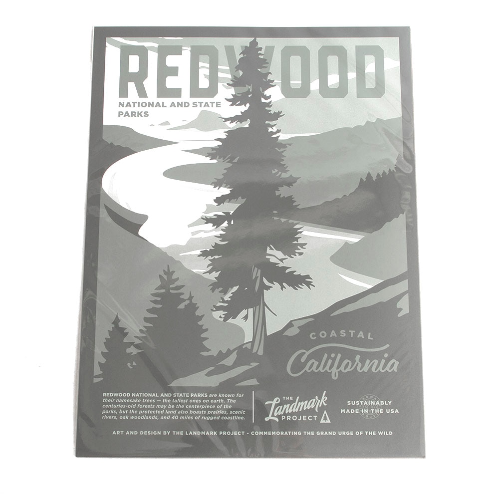 Landmark Project 12"x16" Poster Redwood National Park