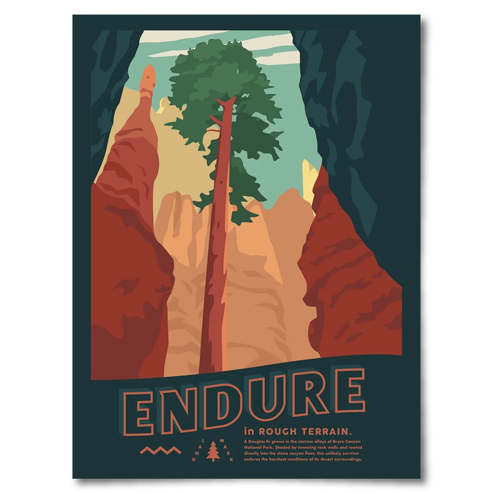 Landmark Project 12"x16" Poster Rough Terrain