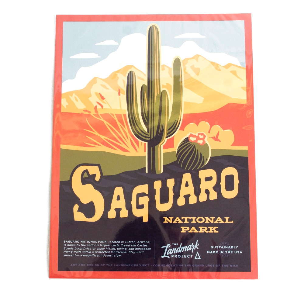 Landmark Project 12"x16" Poster Saguaro National Park