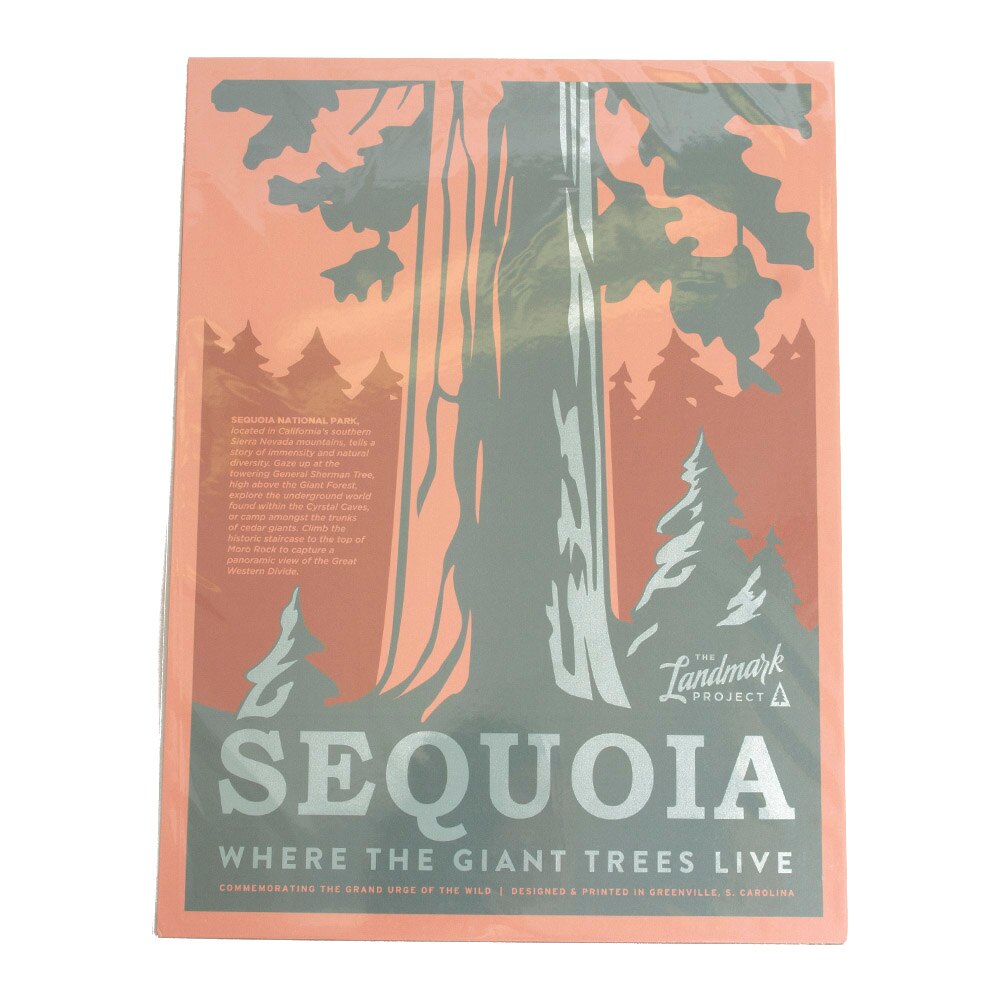 Landmark Project 12"x16" Poster Sequoia National Park