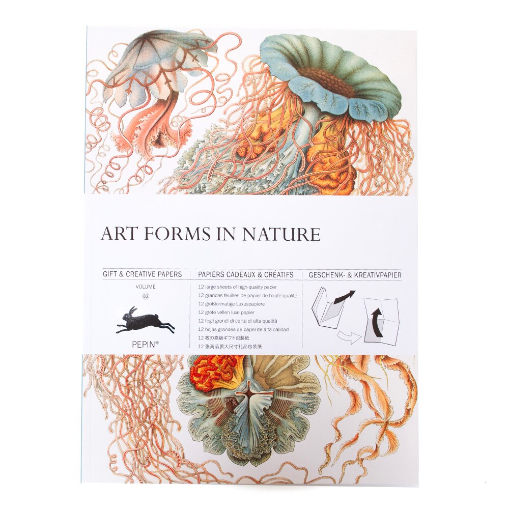 Pepin Press Gift & Creative Paper Book Art Forms in Nature