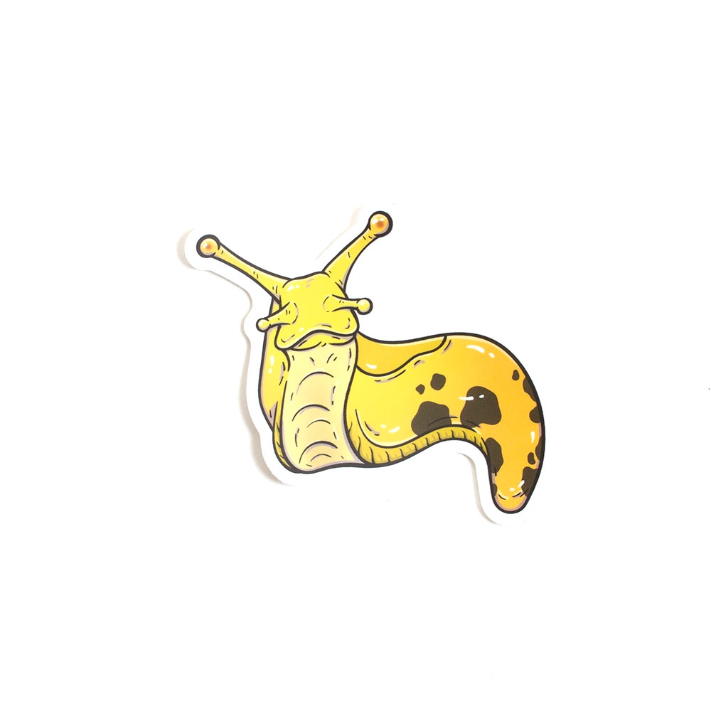 Stickers Northwest 3" Sticker Banana Slug
