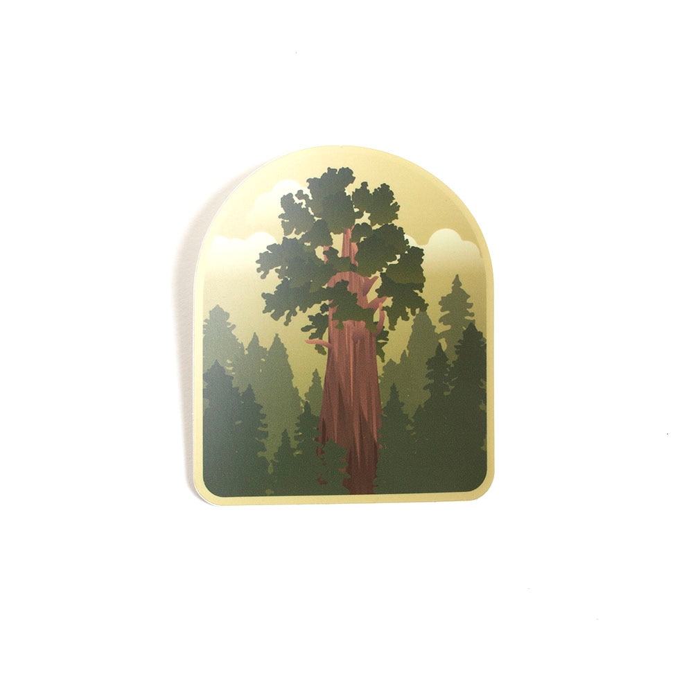 StickersNW 3" Sticker Sequoia Tree