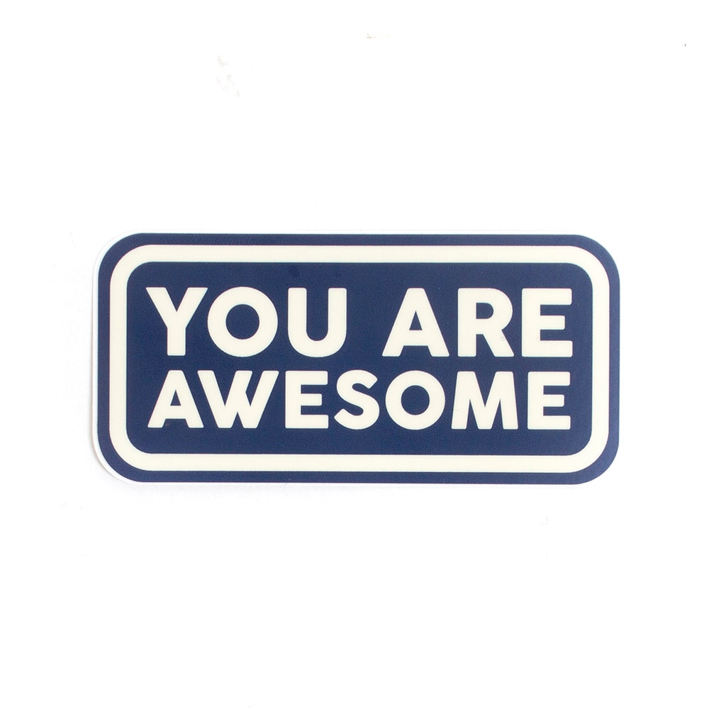 Stickers Northwest 3" Sticker You Are Awesome