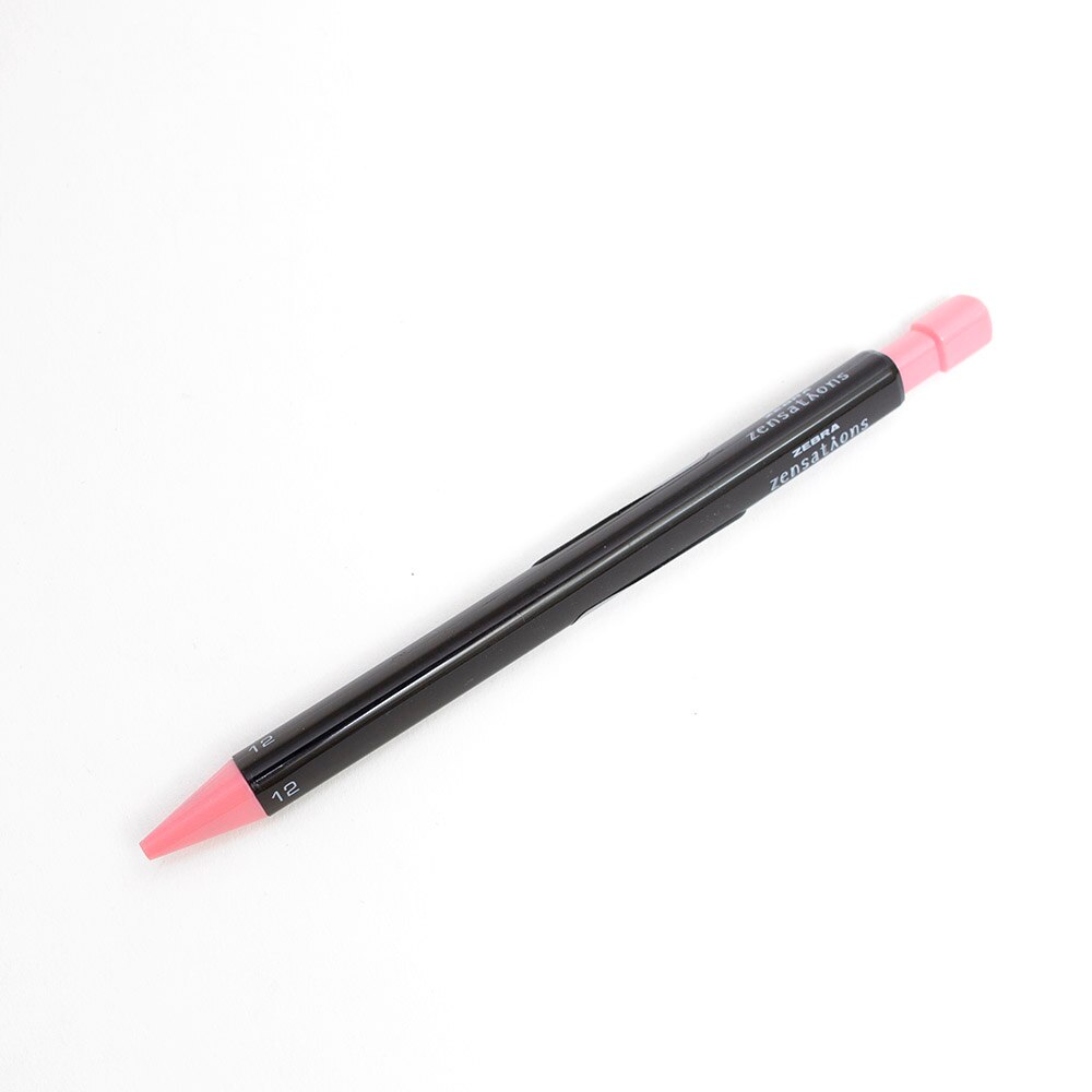 Zebra Zensations Colored Pencil