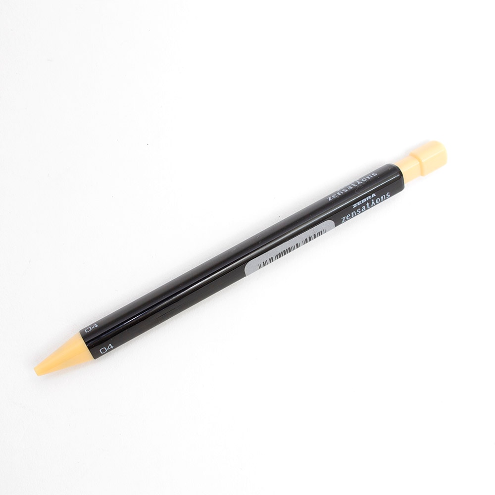 Zebra Zensations Colored Pencil